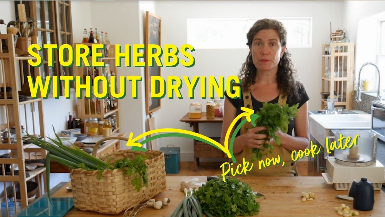 Fermenting Cilantro and Other Garden Herbs – Videos – Mother Earth News